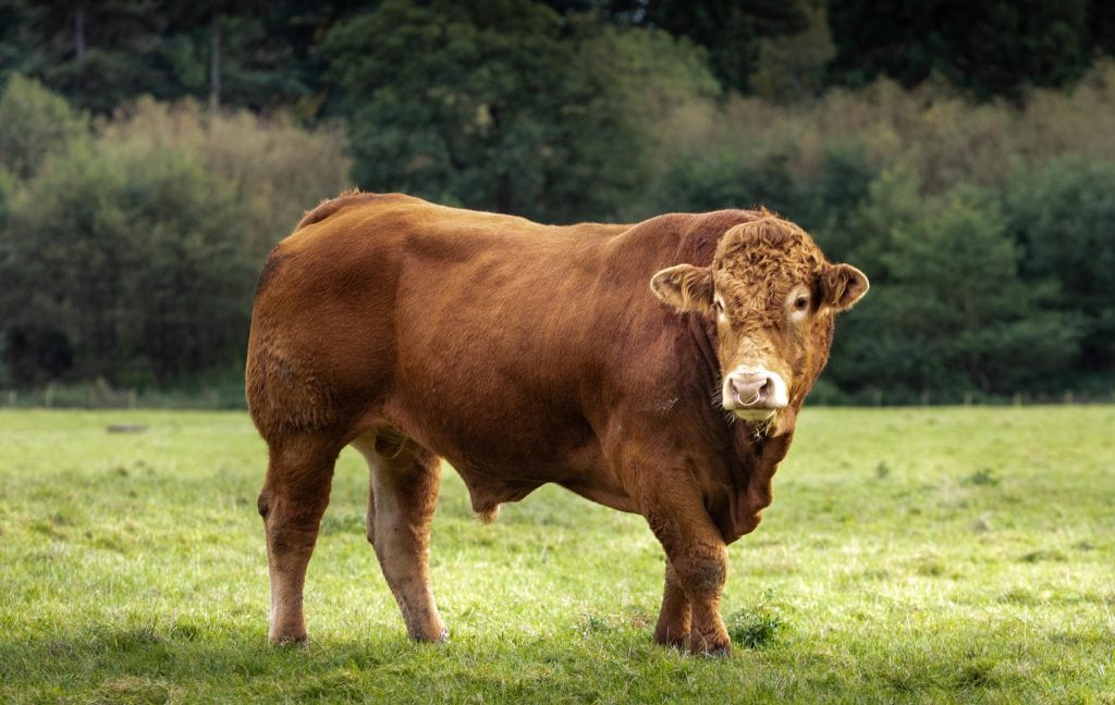 Farming | Dunstall Estate