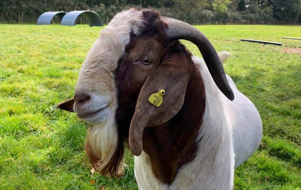 Farming | Dunstall Estate